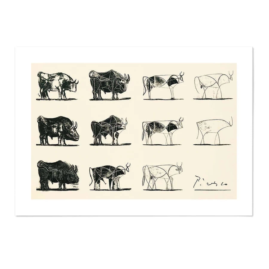 Cow Studies Picasso Art Print